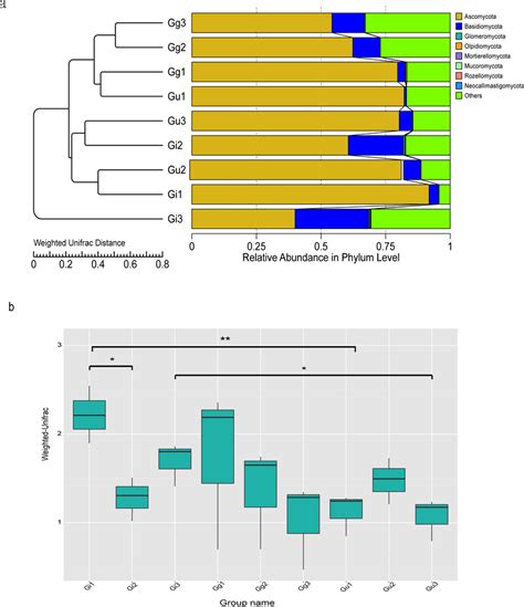 Unweighted Pair Group Method With Arithmetic Upgma Clustering Tree