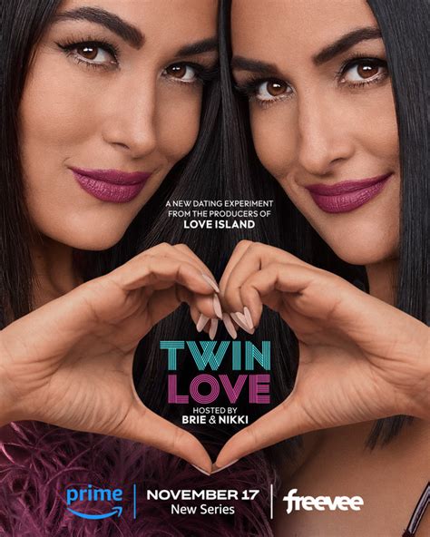 Twin Love Tv Poster 1 Of 2 Imp Awards