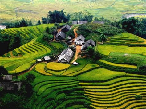 Trekking In Sapa A Guide To Nature And Culture