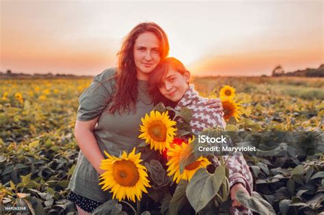 어머니와 딸의 초상화는 해질녘 해바라기 밭에서 포옹한다 여름 풍경을 즐기며 야외에서 휴식을 취하는 가족 10 11세에 대한 스톡 사진 및 기타 이미지 Istock