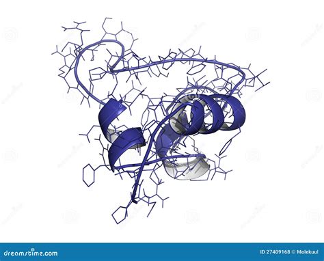 Insulin Like Growth Factor Igf 1 Somatomedin C Royalty Free Stock