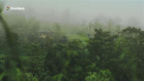 Prof Dr Şeyma Özkara Aydınoğlu On Linkedin Pleased To Join The Editorial Board Of Frontiers