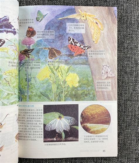 美国最新图解百科 共 册 淘书团