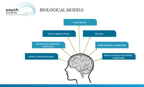 The Power Of Checklists In Psychiatry Exams Life And Clinical Practice