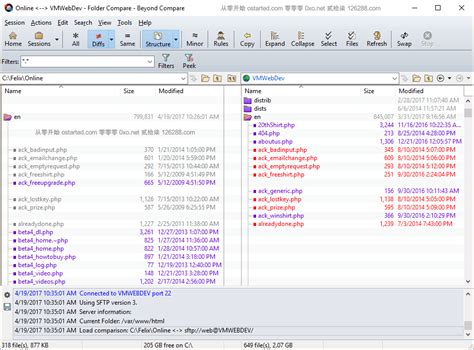 Beyond Compare 文件对比神器 中文专业绿色版 文本 代码 文件夹对比工具 從零開始