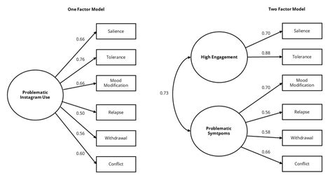 Distinguishing High Engagement From Problematic Symptoms In Instagram