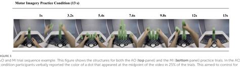 Figure 3 From Enhancing Upper Limb Neurorehabilitation In Chronic