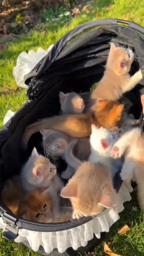 The Importance Of Networking And Building One News Page Video