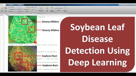 Soybean Leaf Disease Detection Using Deep Learning Soybean Plant Disease Classification Using