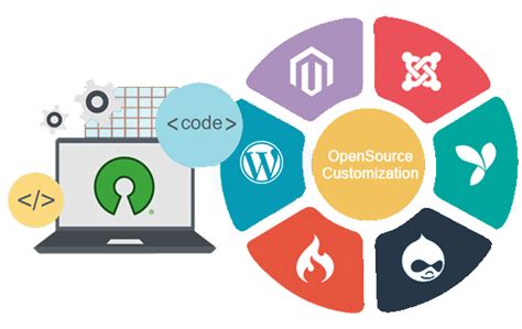 Open Source Customization Ng Softech Ecommerce Website Design