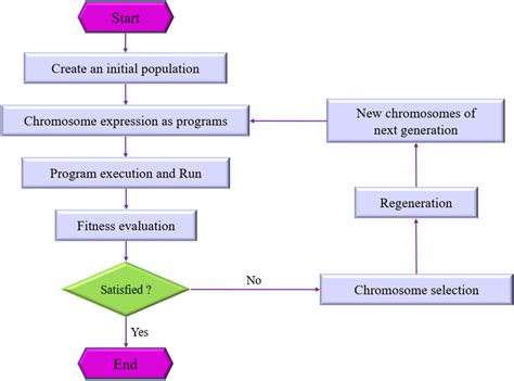 The Schematic Framework Of The Gene Expression Programming Gep Download Scientific Diagram