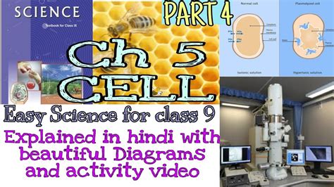 Cbse Ncert Class 9 Science Chapter 5 Part 4 Cell Cell Wall