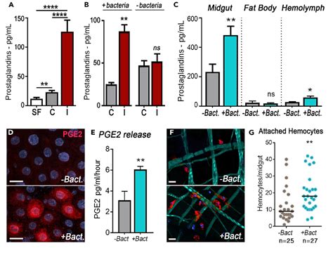 Hemocyte Differentiation Semantic Scholar