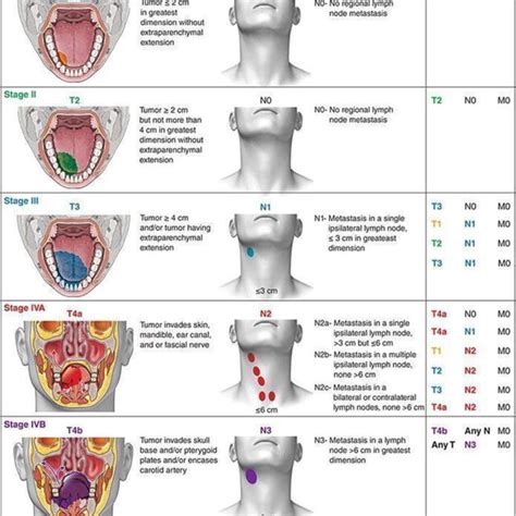 Classification And Staging Of Squamous Cell Carcinoma Of Head And Neck As Download Scientific
