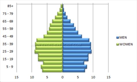 Draw Population Pyramid With Excel Excel Tutorial Trainings