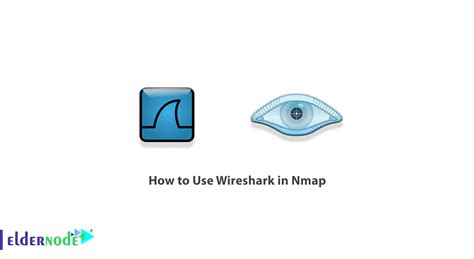 How To Use Wireshark In Nmap Step By Step Eldernode Blog