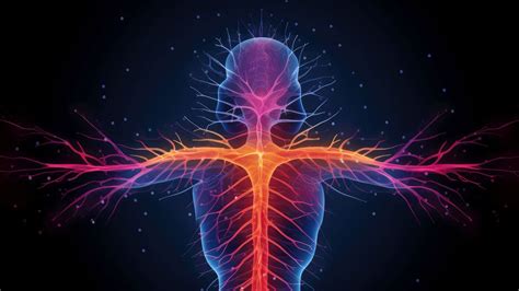 23 Facts About Lymph Flow