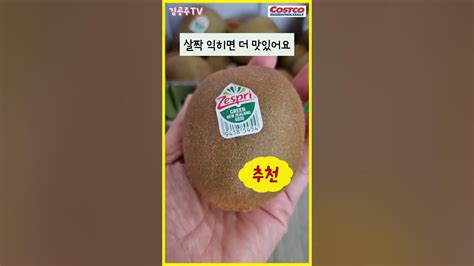 코스트코 2년차 장바구니 할인 인상정보 추천템 내돈내산 Youtube