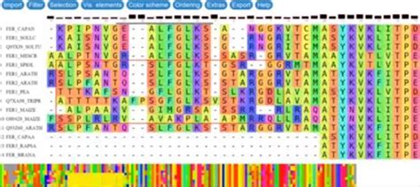 Msaviewer 100 Multiple Sequence Alignment Viewer My Biosoftware