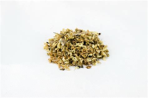 槐花炭 槐花 大山谷图库