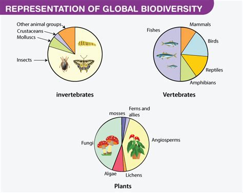 Four Types Of Diversity