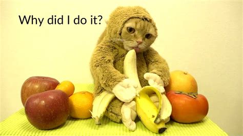 Reproducible Research In Python Youtube