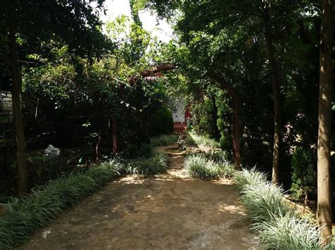 Kz ပြင်ဦးလွင်အိမ်ခြံမြေလုပ်ငန်း ️ပြင်ဦးလွင် မြို့သစ် ရပ်ကွက်ကြီး ၈ ယုဇနလမ်းမကြီး၊ရုံးပေါင