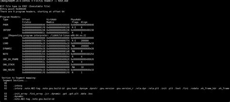 【linux内核系列】：文件elf格式详解 Csdn博客