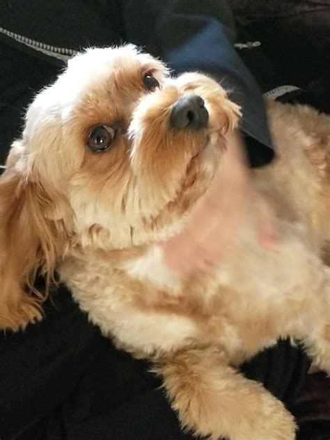 Converting A Non Partitioned Table To Partitioned In Oracle The Anti Kyte