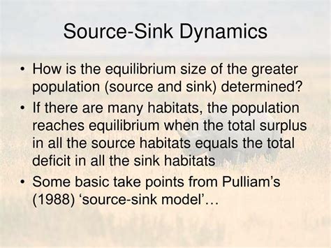 PPT Source Sink Dynamics PowerPoint Presentation Free Download ID