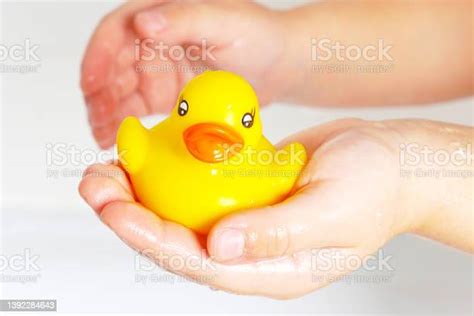 아이들의 젖은 손에 귀여운 노란 오리 아이는 작은 장난감을 돌보는 것을 보여줍니다 물 게임 욕실은 게임을위한 장소입니다 가정의 방에 대한 스톡 사진 및 기타 이미지 Istock