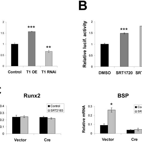 runx2 structure the mrna sequence of runx2 consists of eight exons