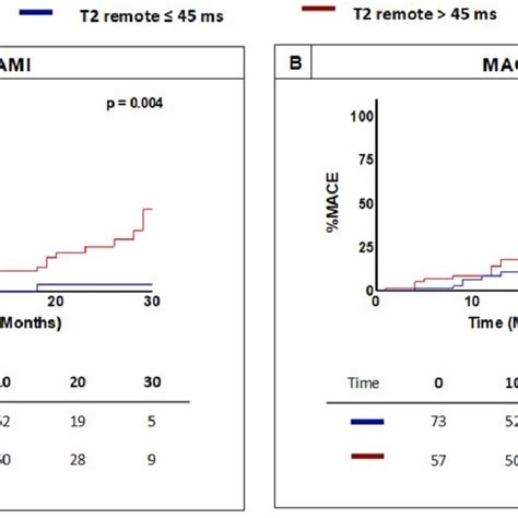left ventricular segmentation the 17 segment left ventricle model as download scientific