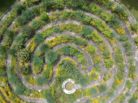 A Wildflower Labyrinth Fine Gardening
