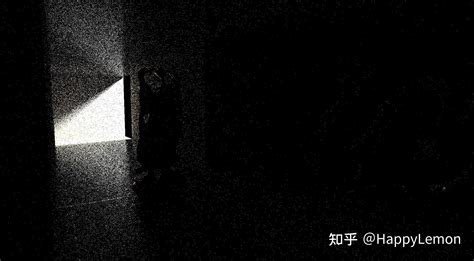 渲染器结果展示 知乎