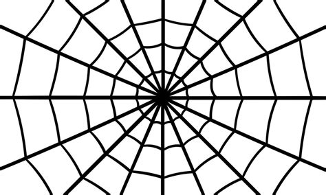 cobweb hand drawn illustration 28205839 vector art at vecteezy