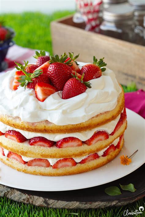Whipped Cream Cake Recipe