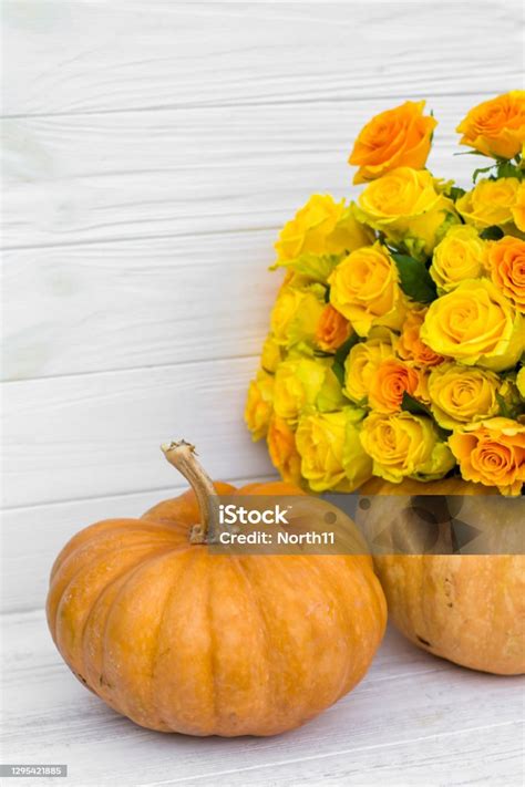 흰색 나무 보드에 노란색 장미와 호박의 꽃다발 아름다운 노란 장미 가을 장식 0명에 대한 스톡 사진 및 기타 이미지 0명