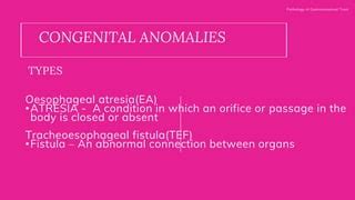 The Oesophagus Congenital Anomalies Of The Oesophagus Pptx
