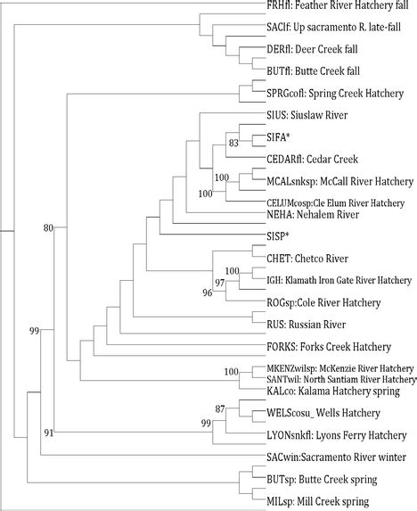 Mid Point Rooted Neighbor Joining Dendrogram Constructed With Chord