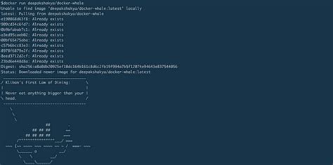 Beginners Guide To Use Docker Build Run Push And Pull By Deepak Shakya Medium