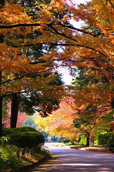 유토이미지 36294 0000121