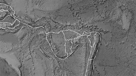 Balmoral Reef Plate Outlined Fahey Grayscale Stock Illustration Illustration Of Balmoral