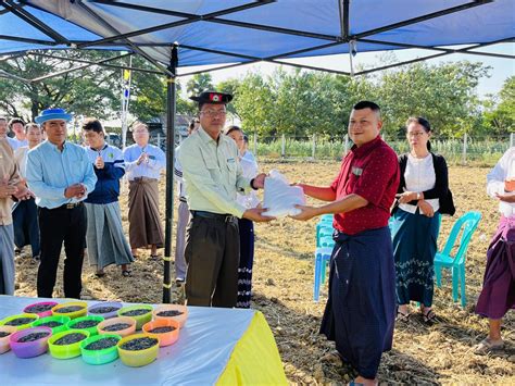 ဟင်္သာတမြို့နယ်တွင် သစ်စိမ်းမြေသြဇာ ပိုက်ဆံလျှော် မျိုးစေ့ပေးအပ်ပွဲန