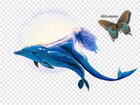 돌고래 회화 미술관 돌고래 수채화 그림 해양 포유류 Png Pngegg