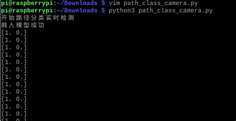 将paddleX训练的模型进行openvino模型转换后推理过程出错 Issue PaddlePaddle PaddleX GitHub