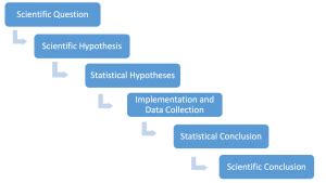 Chapter Statistical Inference Comparing Two Groups Process Of Science Companion Data