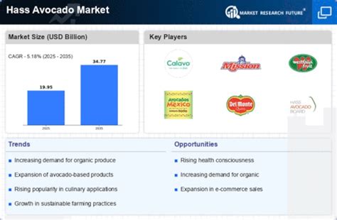 Hass Avocado Market Trends Size Share Forecast 2035