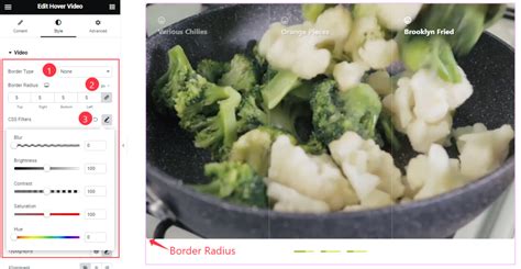 How To Use Hover Video Widget By Element Pack Pro