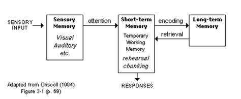Cognitive Information Processing Diagram Quizlet